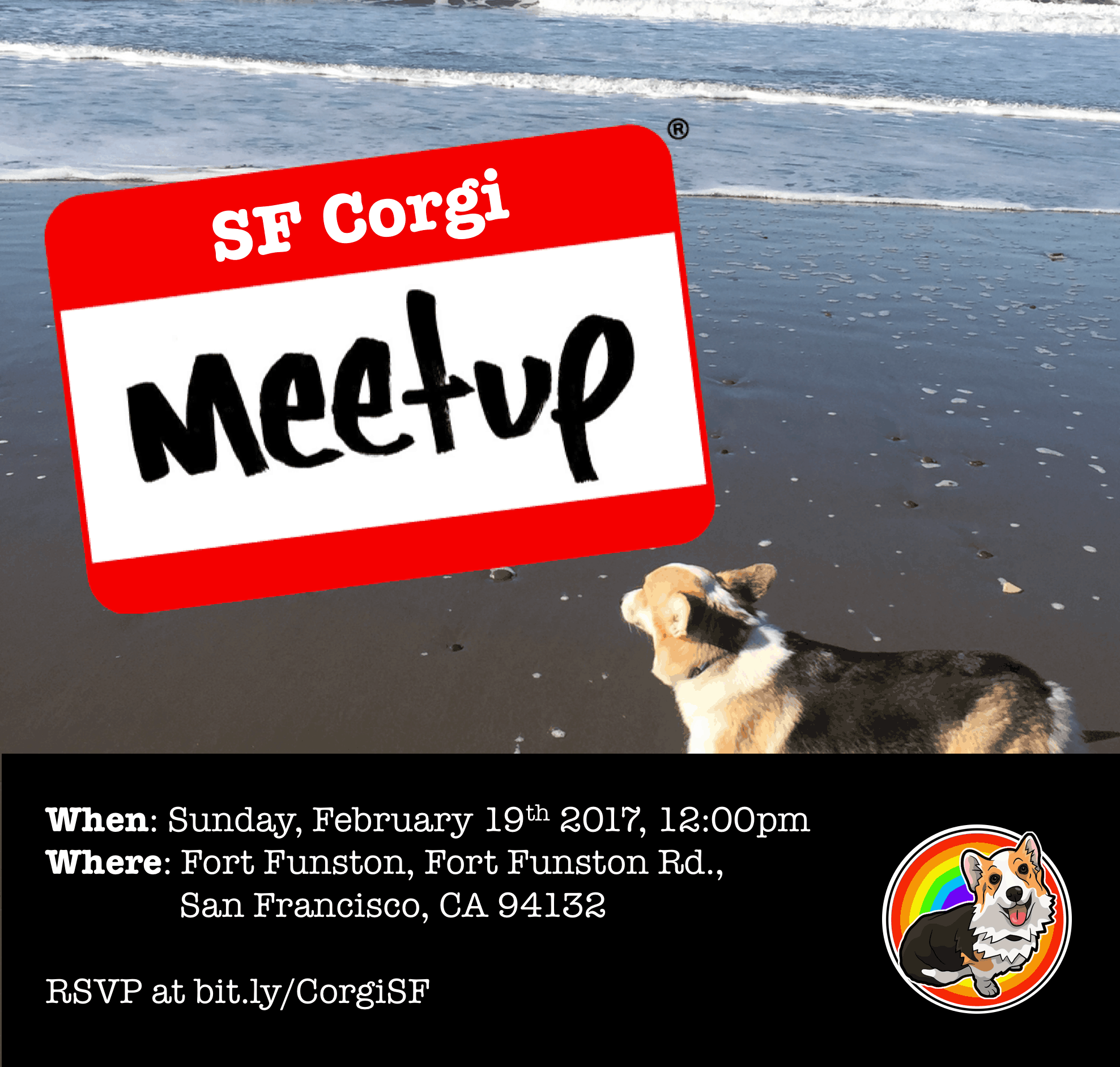 February Corgi Meetup – Everyone Loves a Corgi