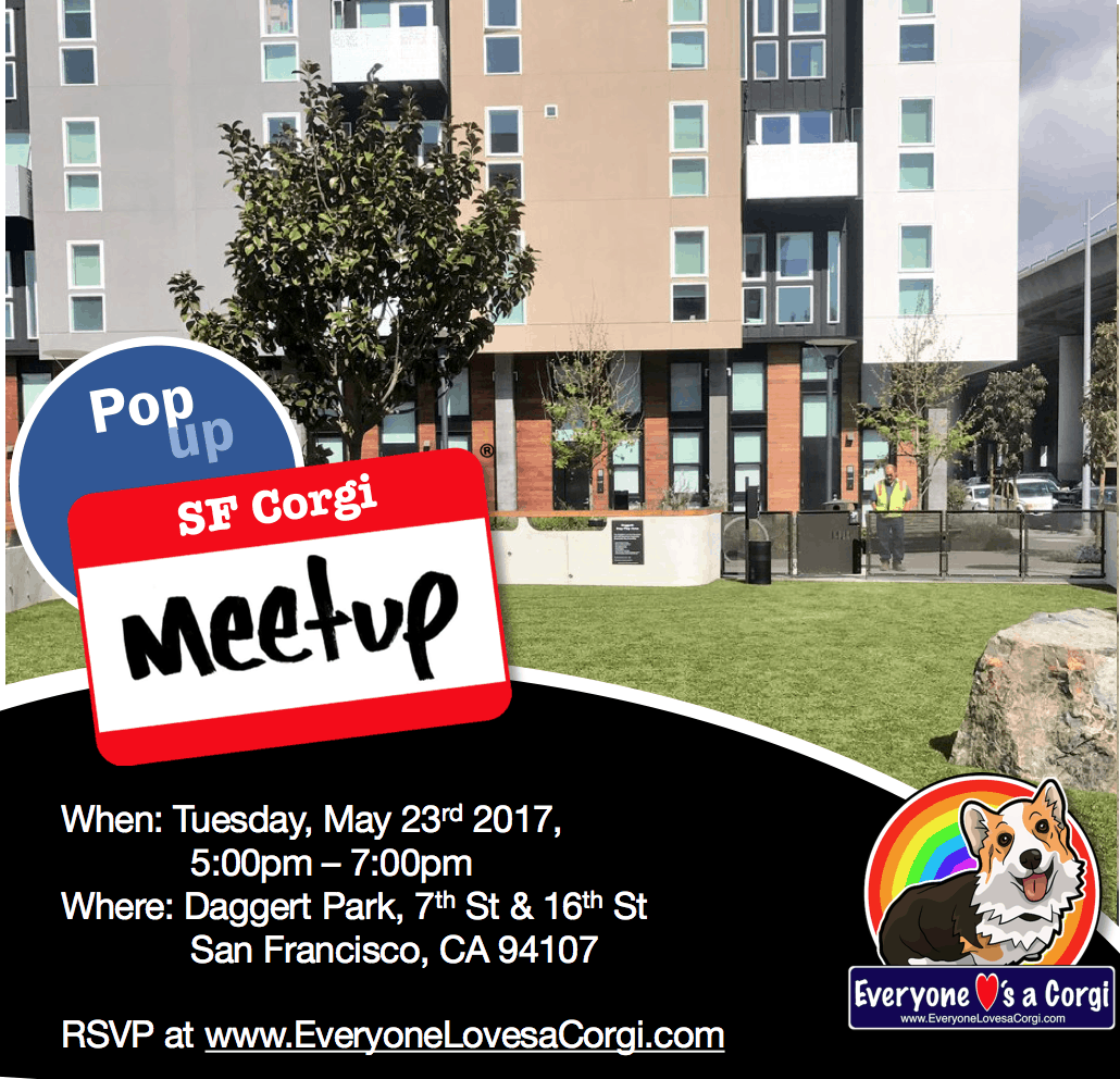Pop-up Meetup: Tuesday! – Everyone Loves a Corgi